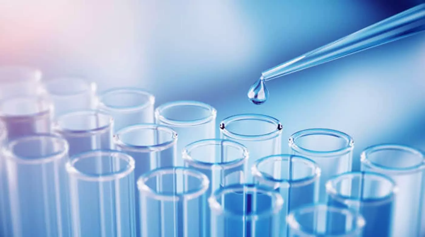 Which Industries Benefit Most from a Rising Film Evaporator System?